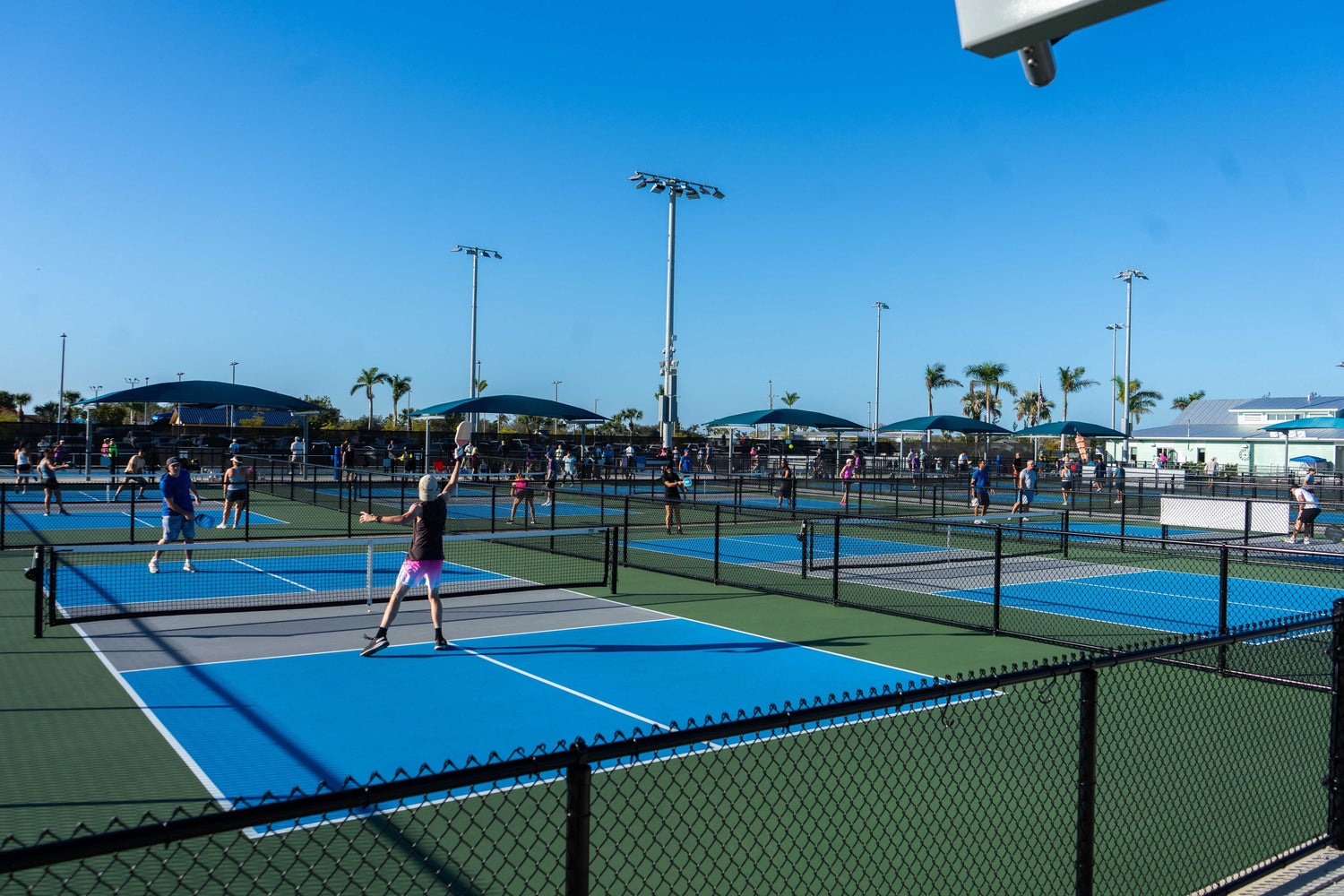 World of Pickleball
